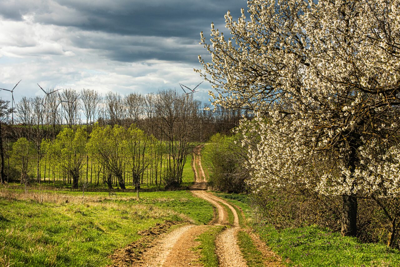 Gattendorf | Natur in Sicht